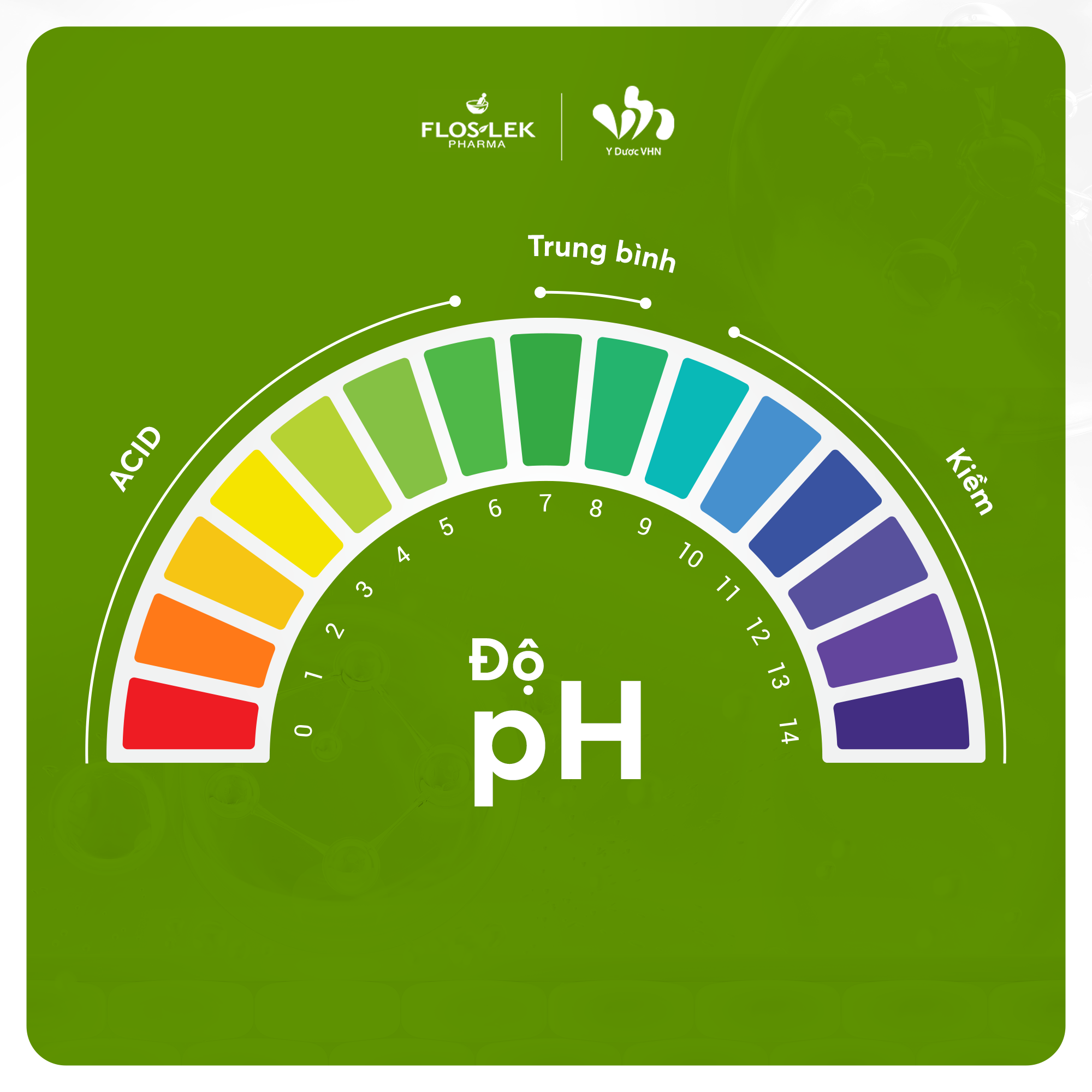 Tất tần tật những điều cần biết về độ pH trong sản phẩm chăm sóc da – Y Dược VHN